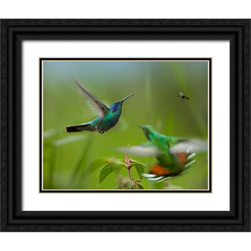 Fitzharris, Tim 24x20 Black Ornate Wood Framed with Double Matting ...