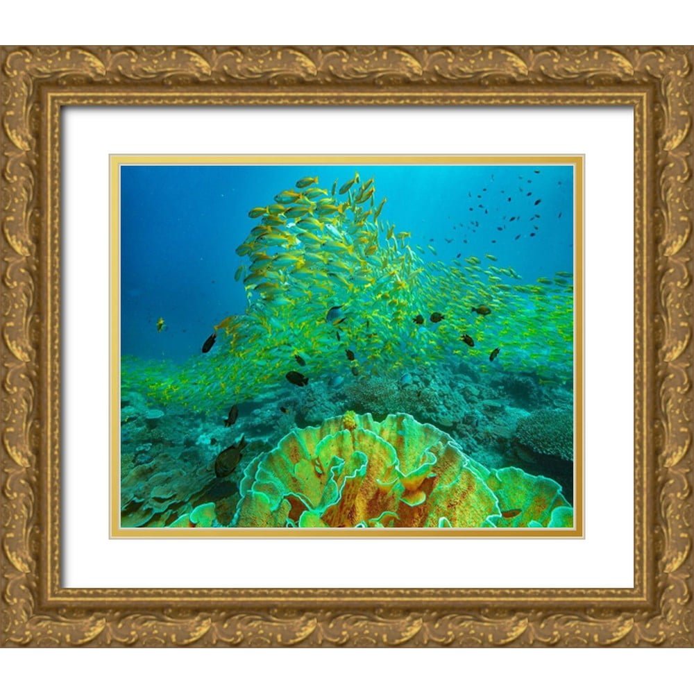 Fitzharris, Tim 24x20 Gold Ornate Wood Framed with Double Matting Museum Art Print Titled ...