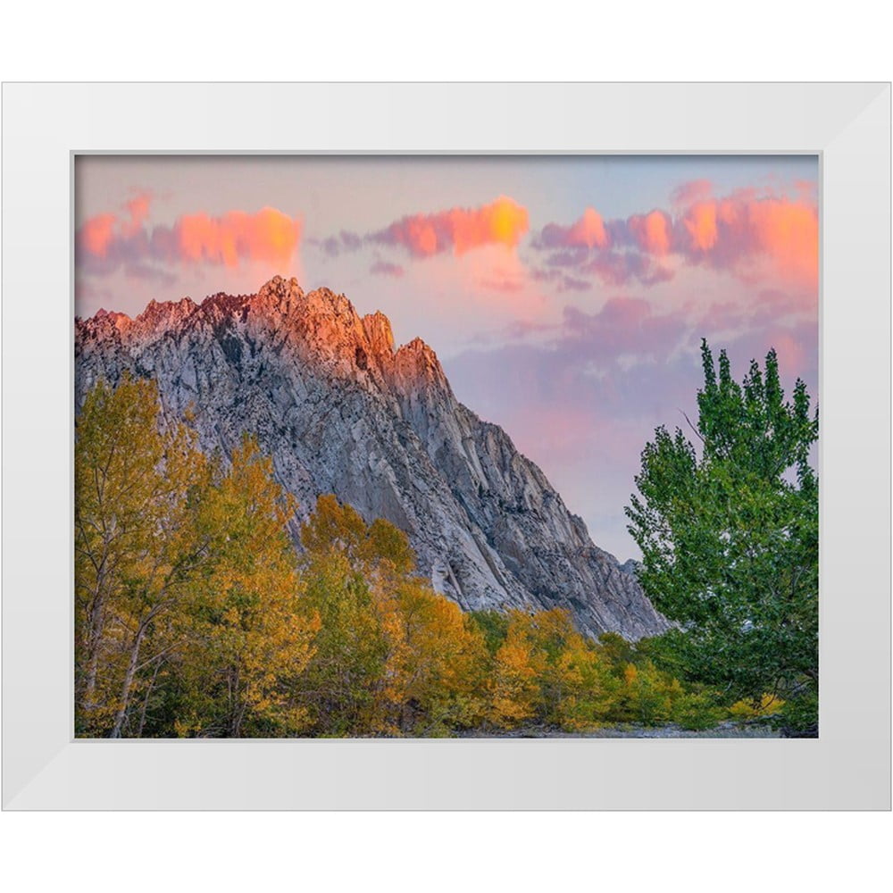 Fitzharris, Tim 24x20 White Modern Wood Framed Museum Art Print Titled ...
