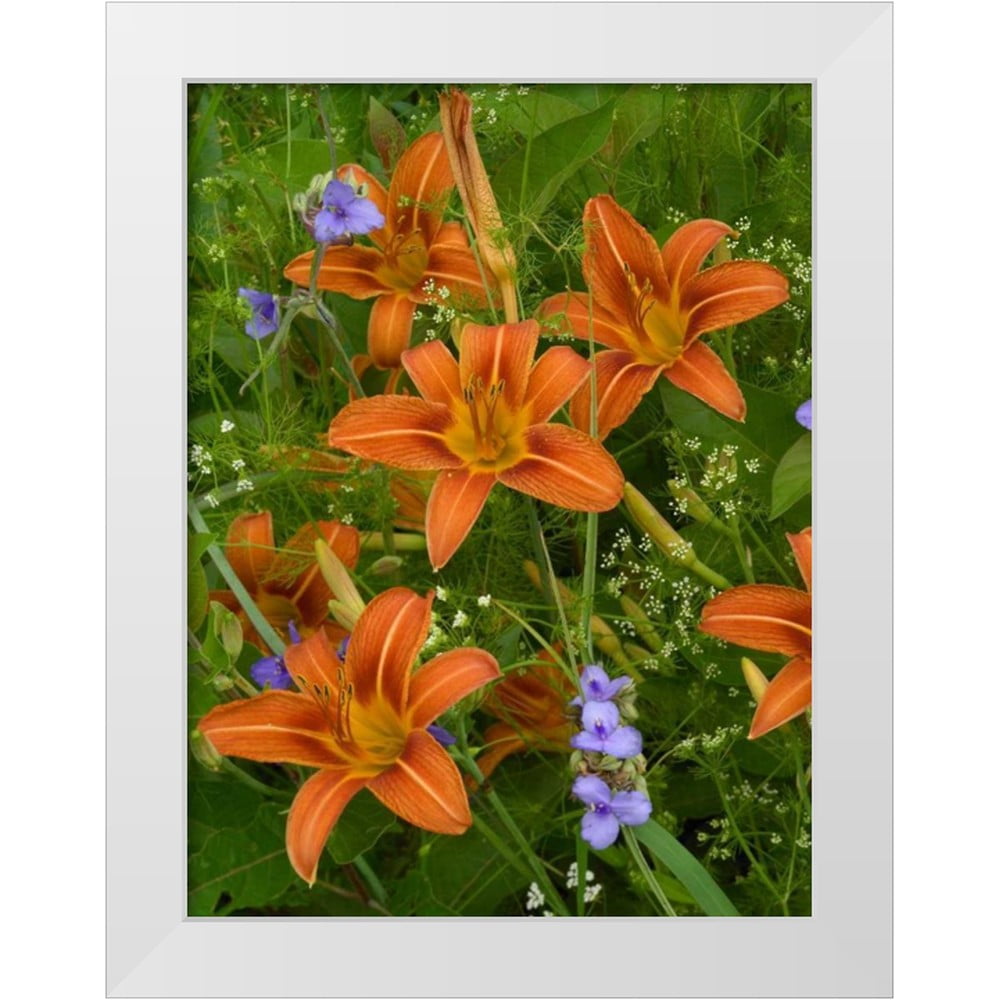 Fitzharris, Tim 25x32 White Modern Wood Framed Museum Art Print Titled ...