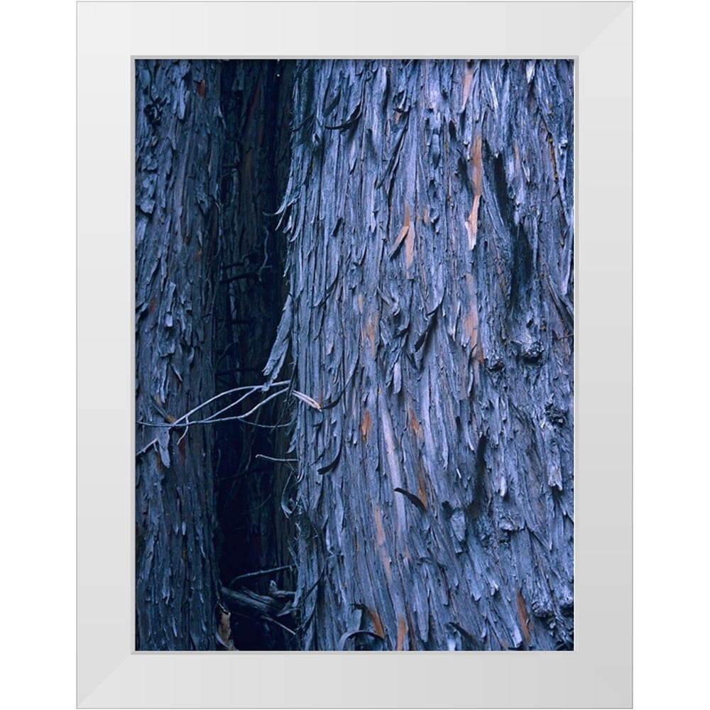 Fitzharris, Tim 25x32 White Modern Wood Framed Museum Art Print Titled ...