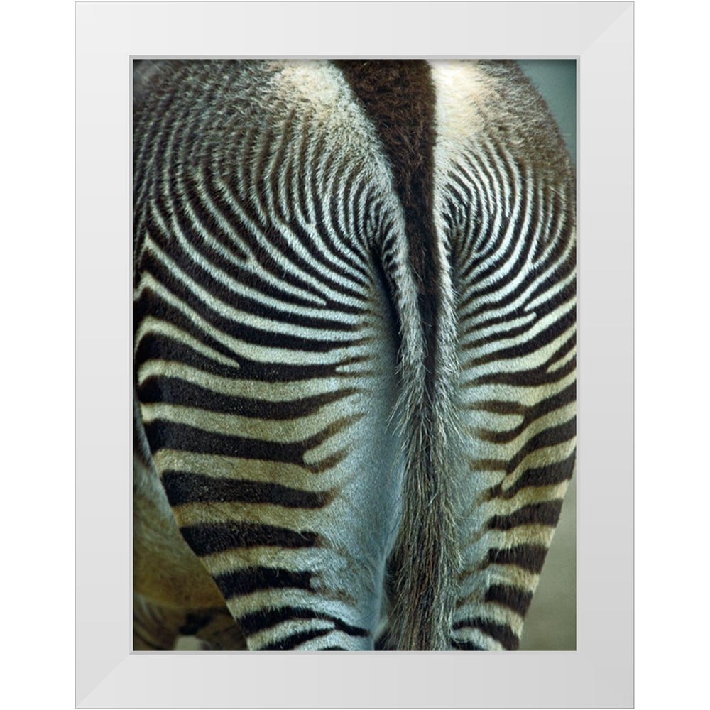 Fitzharris, Tim 25x32 White Modern Wood Framed Museum Art Print Titled ...