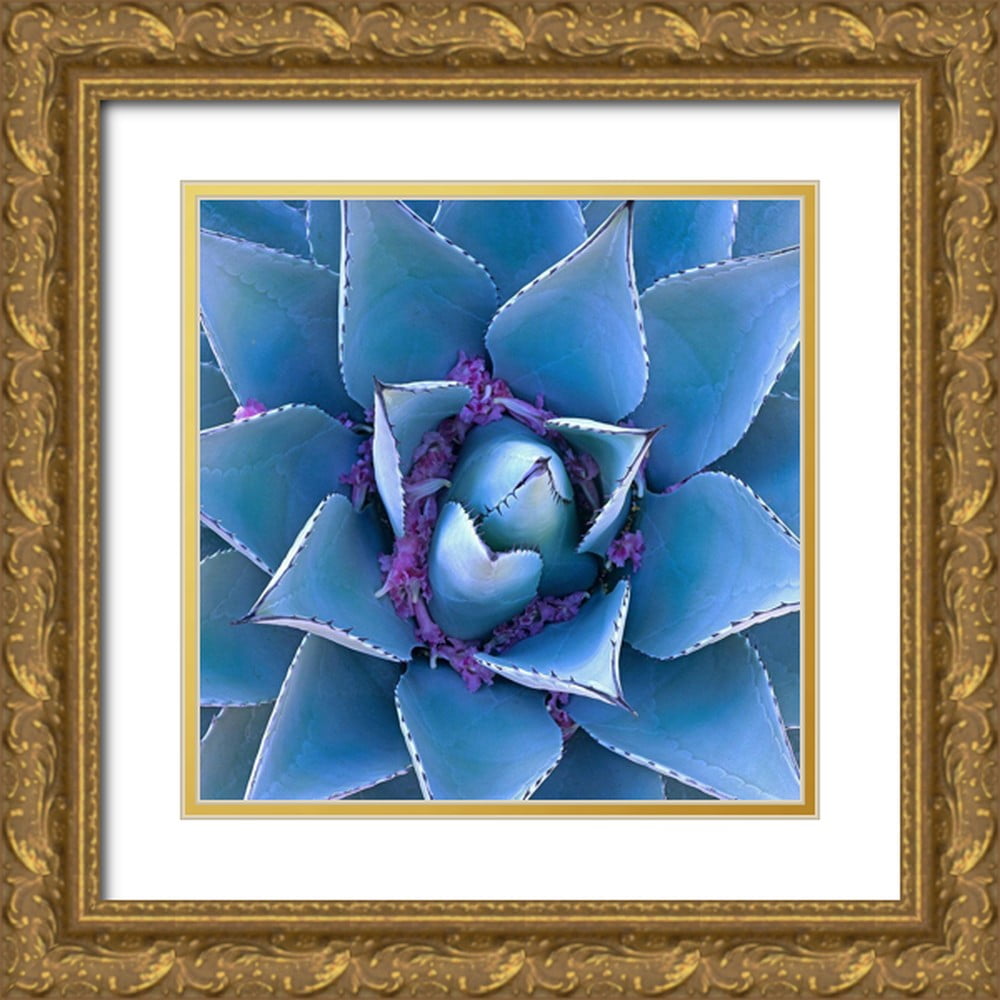 Fitzharris, Tim 26x26 Gold Ornate Wood Framed with Double Matting ...