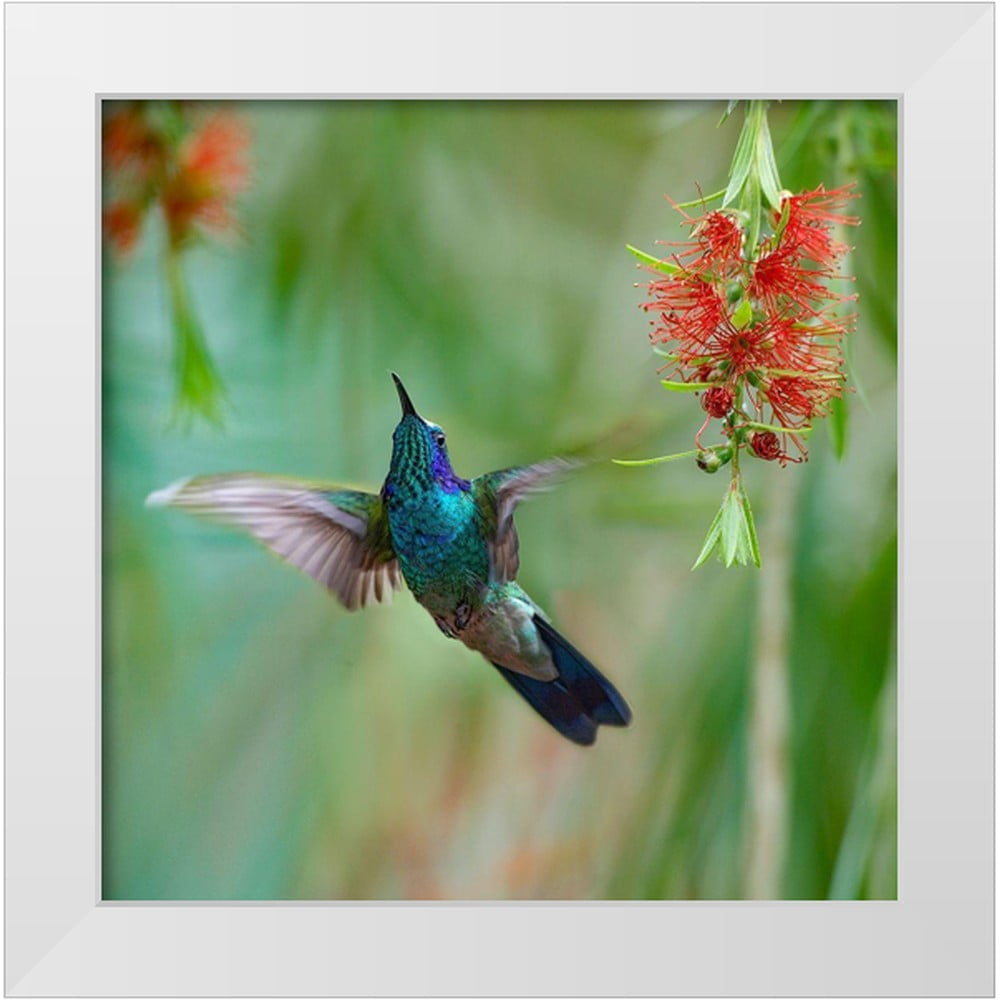 Fitzharris, Tim 26x26 White Modern Wood Framed Museum Art Print Titled ...