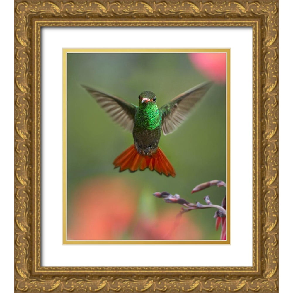 Fitzharris, Tim 26x30 Gold Ornate Wood Framed with Double Matting ...