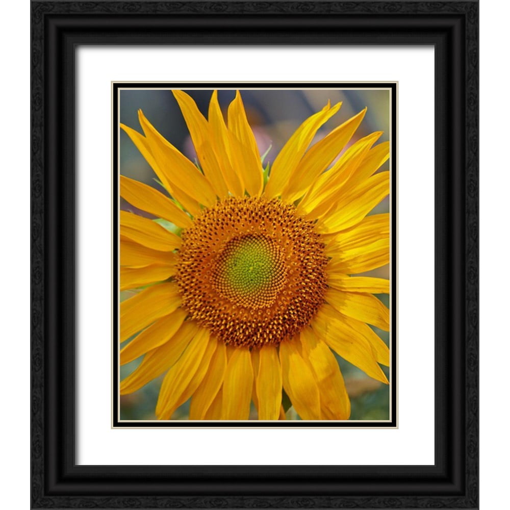 Fitzharris, Tim 26x31 Black Ornate Wood Framed with Double Matting ...