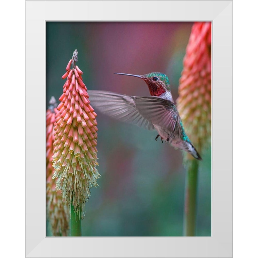 Fitzharris, Tim 26x32 White Modern Wood Framed Museum Art Print Titled ...