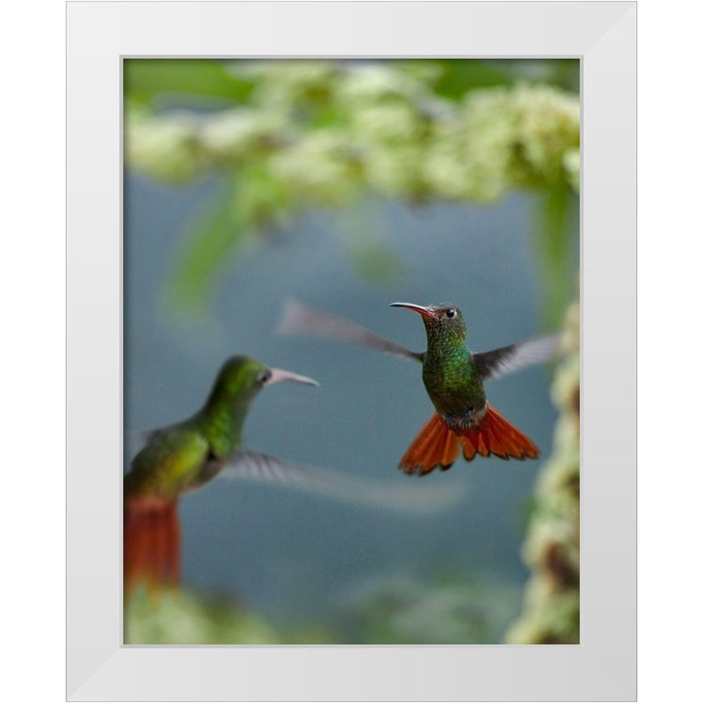 Fitzharris, Tim 26x32 White Modern Wood Framed Museum Art Print Titled ...