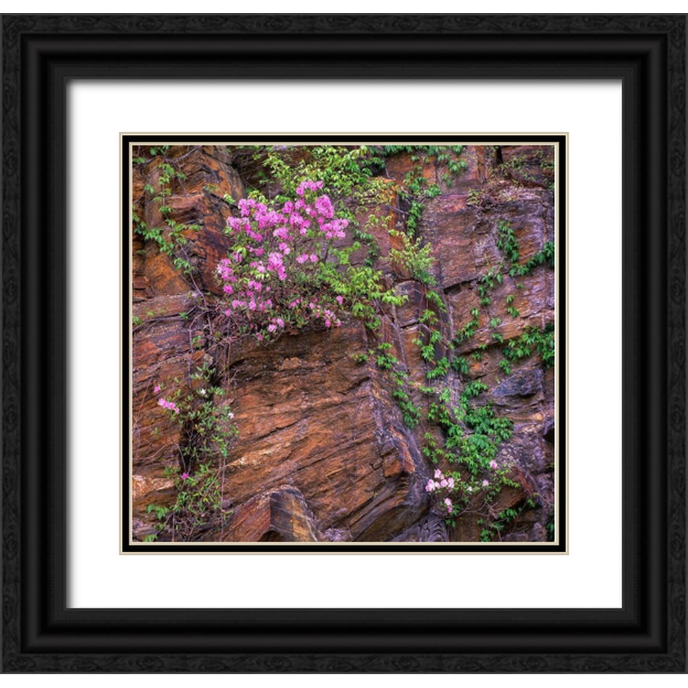 Fitzharris, Tim 27x26 Black Ornate Wood Framed with Double Matting ...