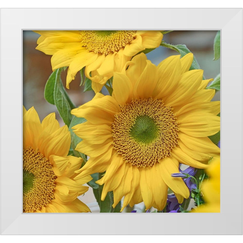 Fitzharris, Tim 28x26 White Modern Wood Framed Museum Art Print Titled ...