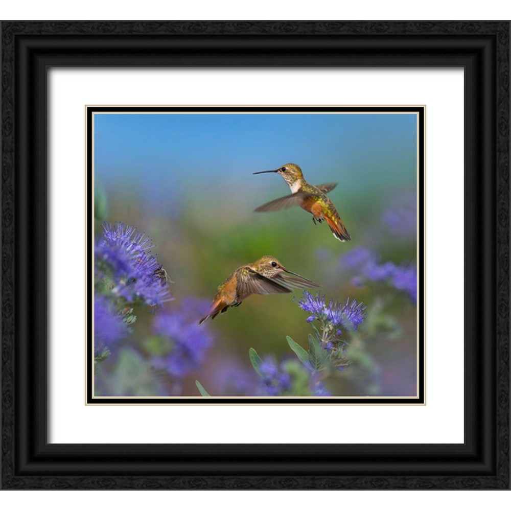 Fitzharris, Tim 29x26 Black Ornate Wood Framed with Double Matting ...