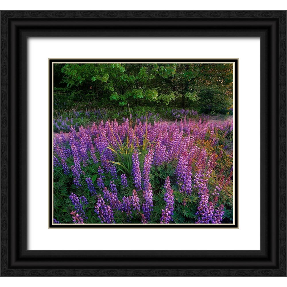 Fitzharris, Tim 29x26 Black Ornate Wood Framed with Double Matting ...