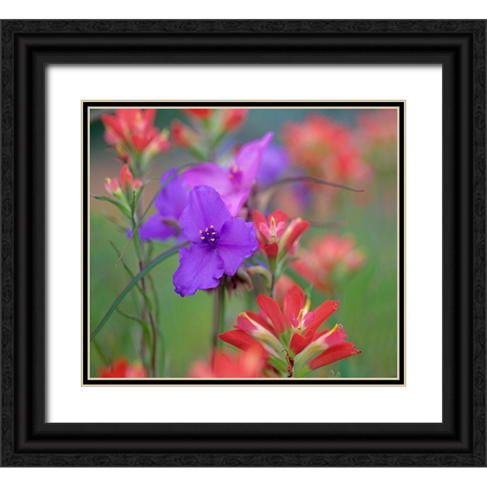 Fitzharris, Tim 29x26 Black Ornate Wood Framed with Double Matting ...