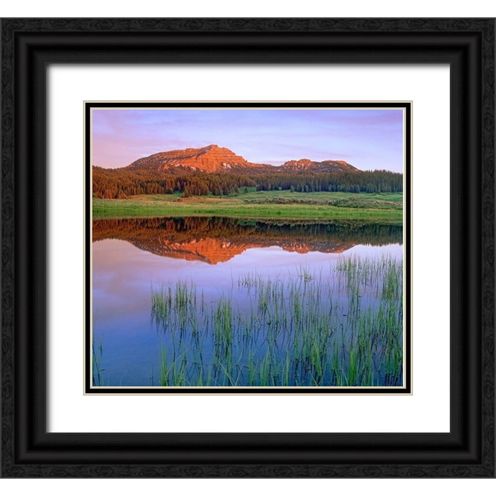 Fitzharris, Tim 29x26 Black Ornate Wood Framed with Double Matting Museum Art Print Titled ...