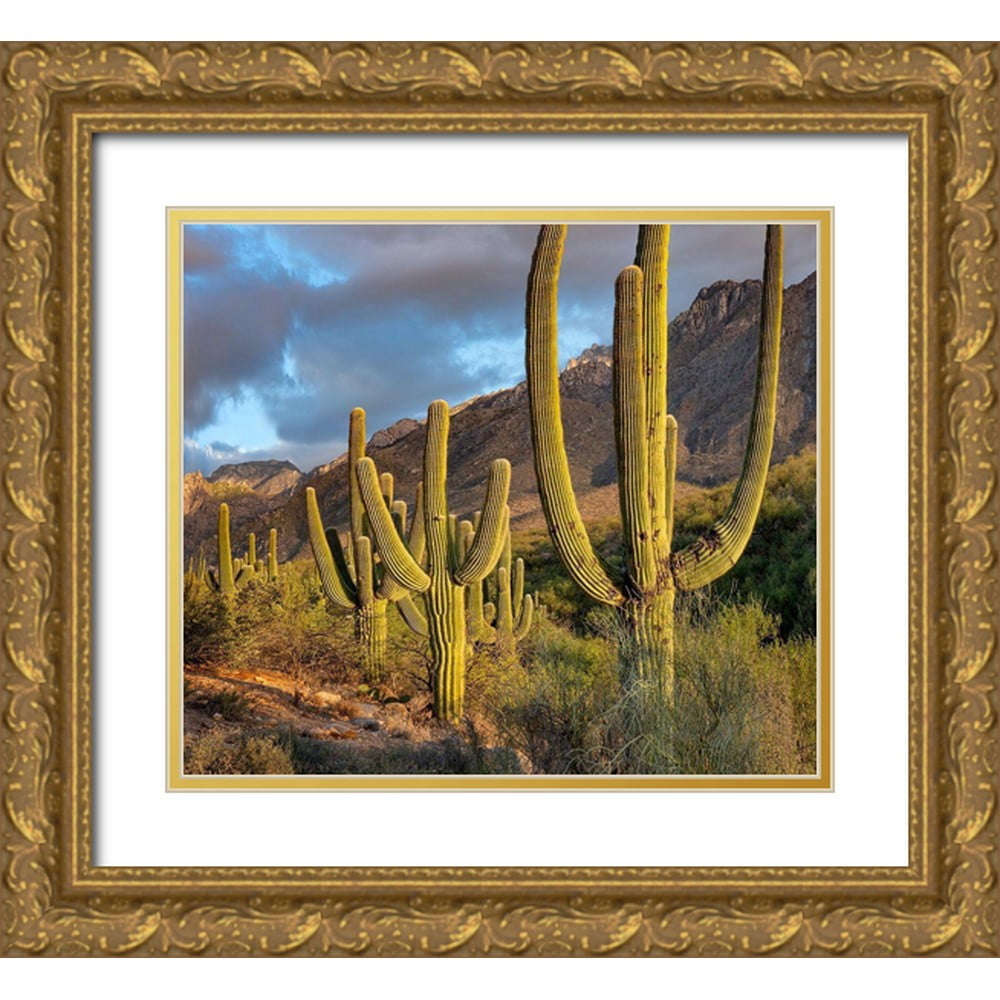 Fitzharris, Tim 29x26 Gold Ornate Wood Framed with Double Matting Museum Art Print Titled ...
