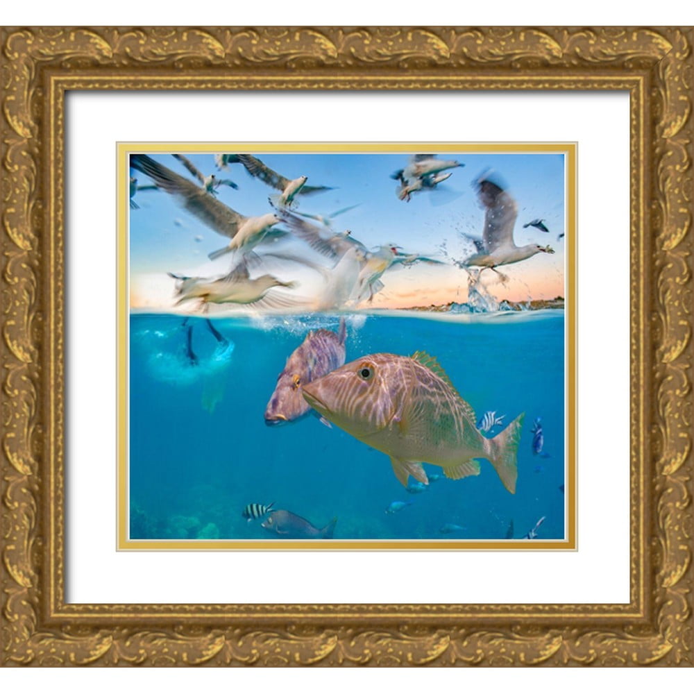 Fitzharris, Tim 29x26 Gold Ornate Wood Framed with Double Matting Museum Art Print Titled ...