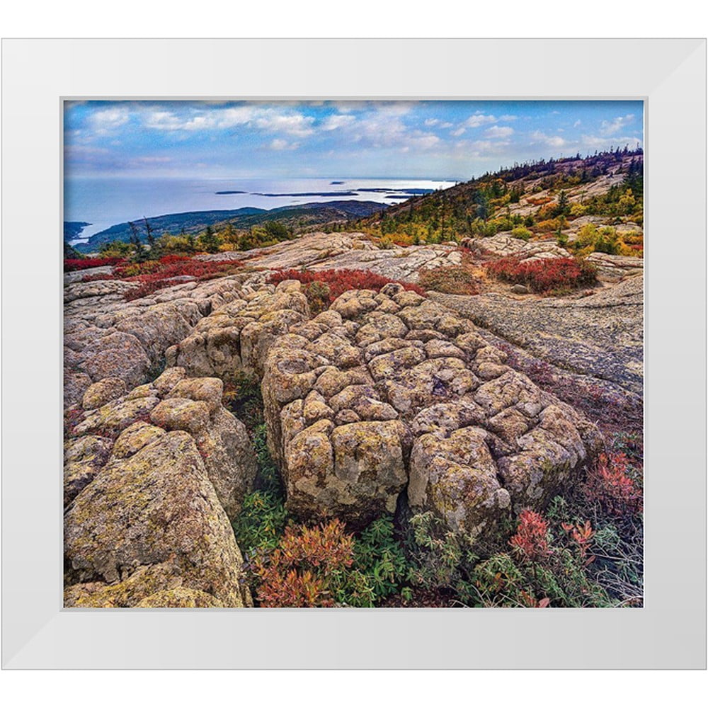 Fitzharris, Tim 29x26 White Modern Wood Framed Museum Art Print Titled ...