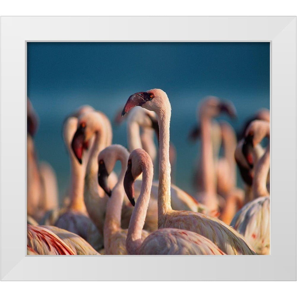Fitzharris, Tim 29x26 White Modern Wood Framed Museum Art Print Titled ...