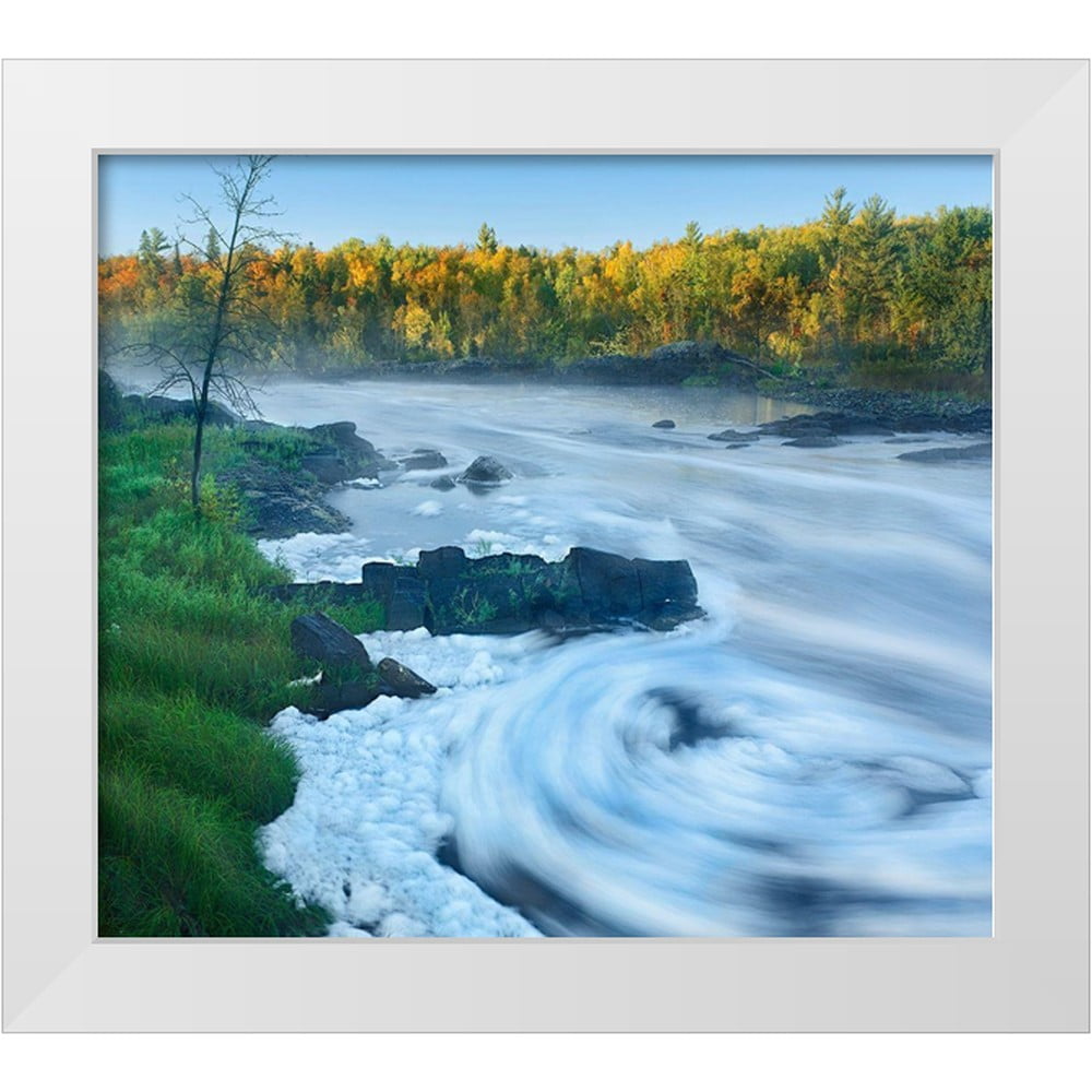 Fitzharris, Tim 29x26 White Modern Wood Framed Museum Art Print Titled - St Louis River-Jay ...