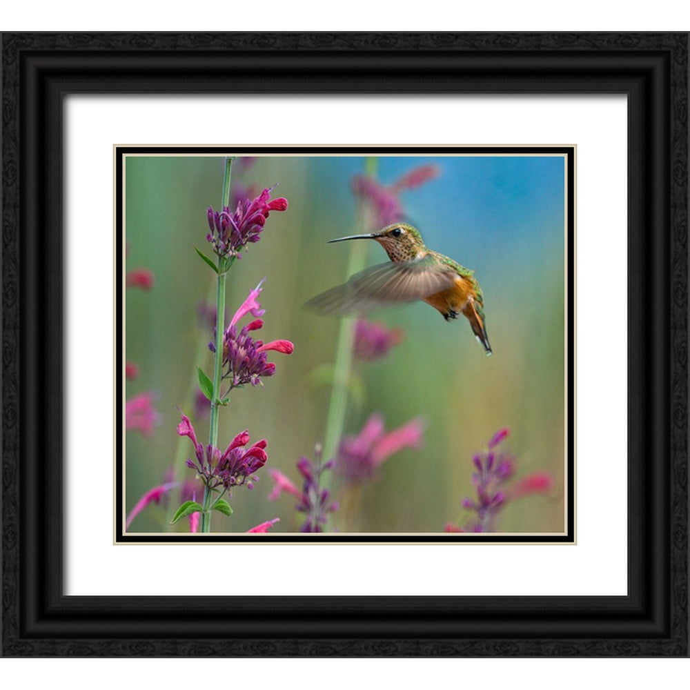 Fitzharris, Tim 30x26 Black Ornate Wood Framed with Double Matting ...