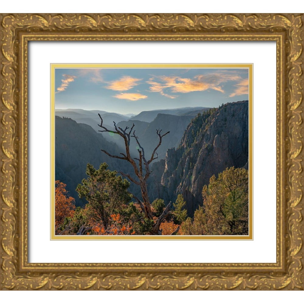 Fitzharris, Tim 30x26 Gold Ornate Wood Framed with Double Matting ...