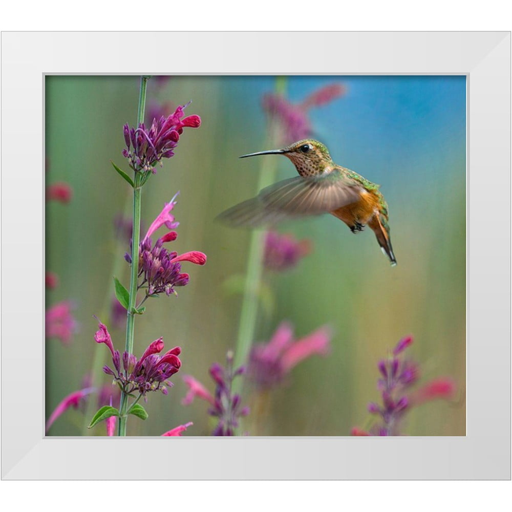 Fitzharris, Tim 30x26 White Modern Wood Framed Museum Art Print Titled ...