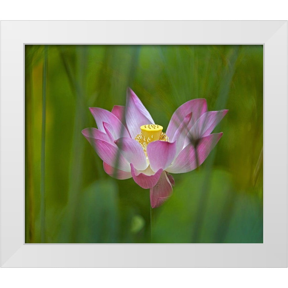 Fitzharris, Tim 30x26 White Modern Wood Framed Museum Art Print Titled ...