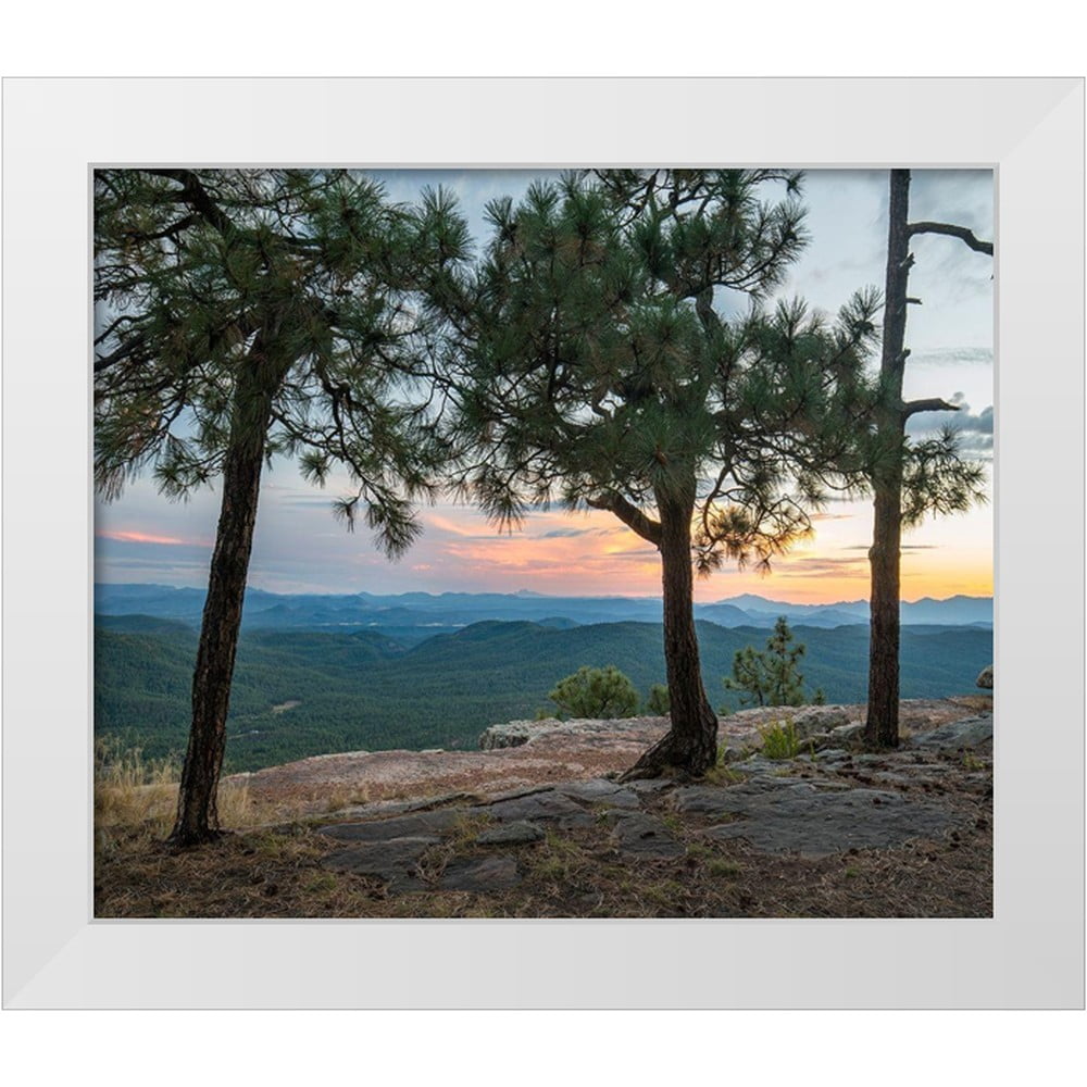 Fitzharris, Tim 30x26 White Modern Wood Framed Museum Art Print Titled ...