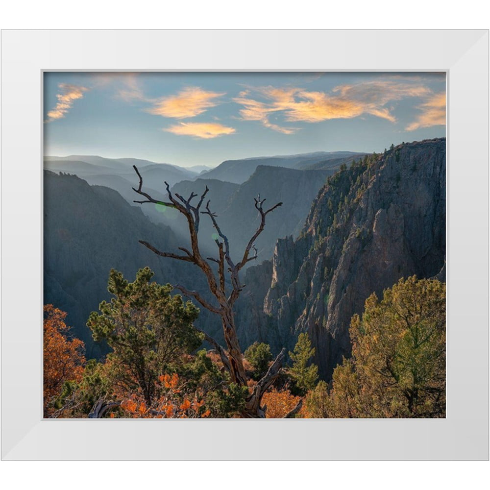 Fitzharris, Tim 30x26 White Modern Wood Framed Museum Art Print Titled ...