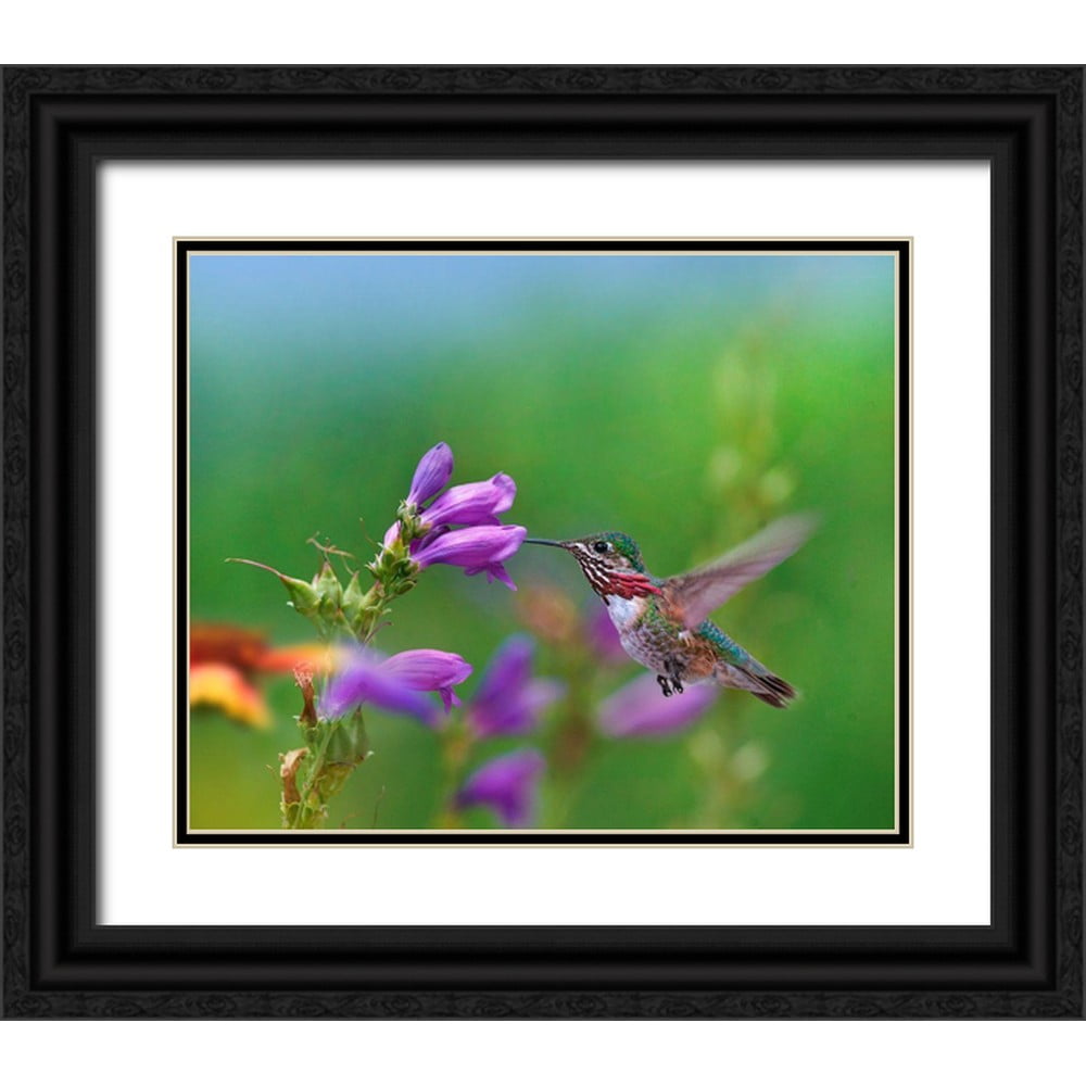 Fitzharris, Tim 31x26 Black Ornate Wood Framed with Double Matting ...