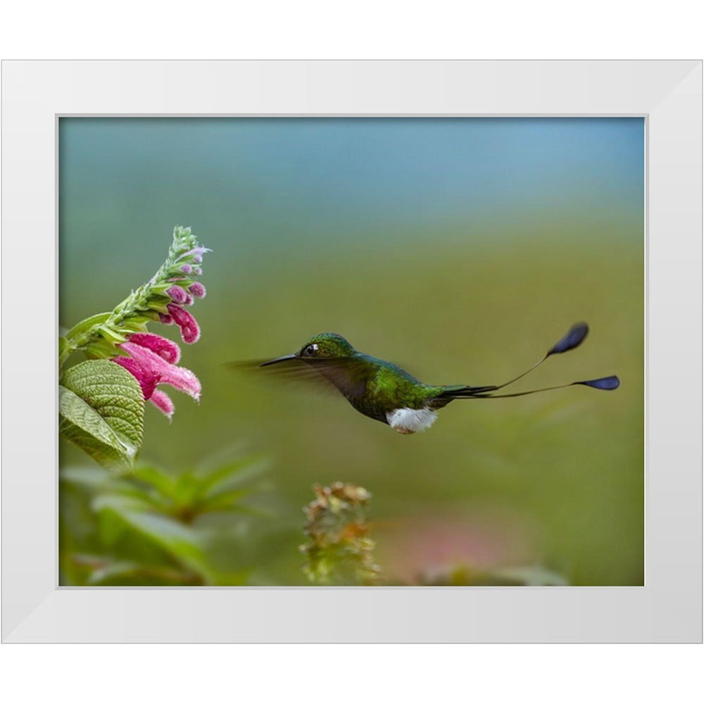 Fitzharris, Tim 31x26 White Modern Wood Framed Museum Art Print Titled ...