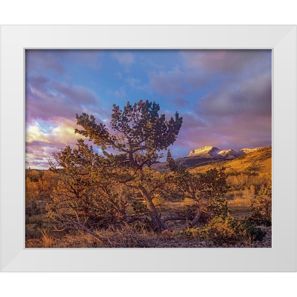 Fitzharris, Tim 31x26 White Modern Wood Framed Museum Art Print Titled ...