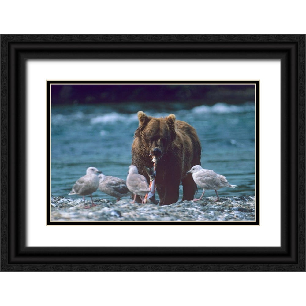 Fitzharris, Tim 32x23 Black Ornate Wood Framed with Double Matting ...