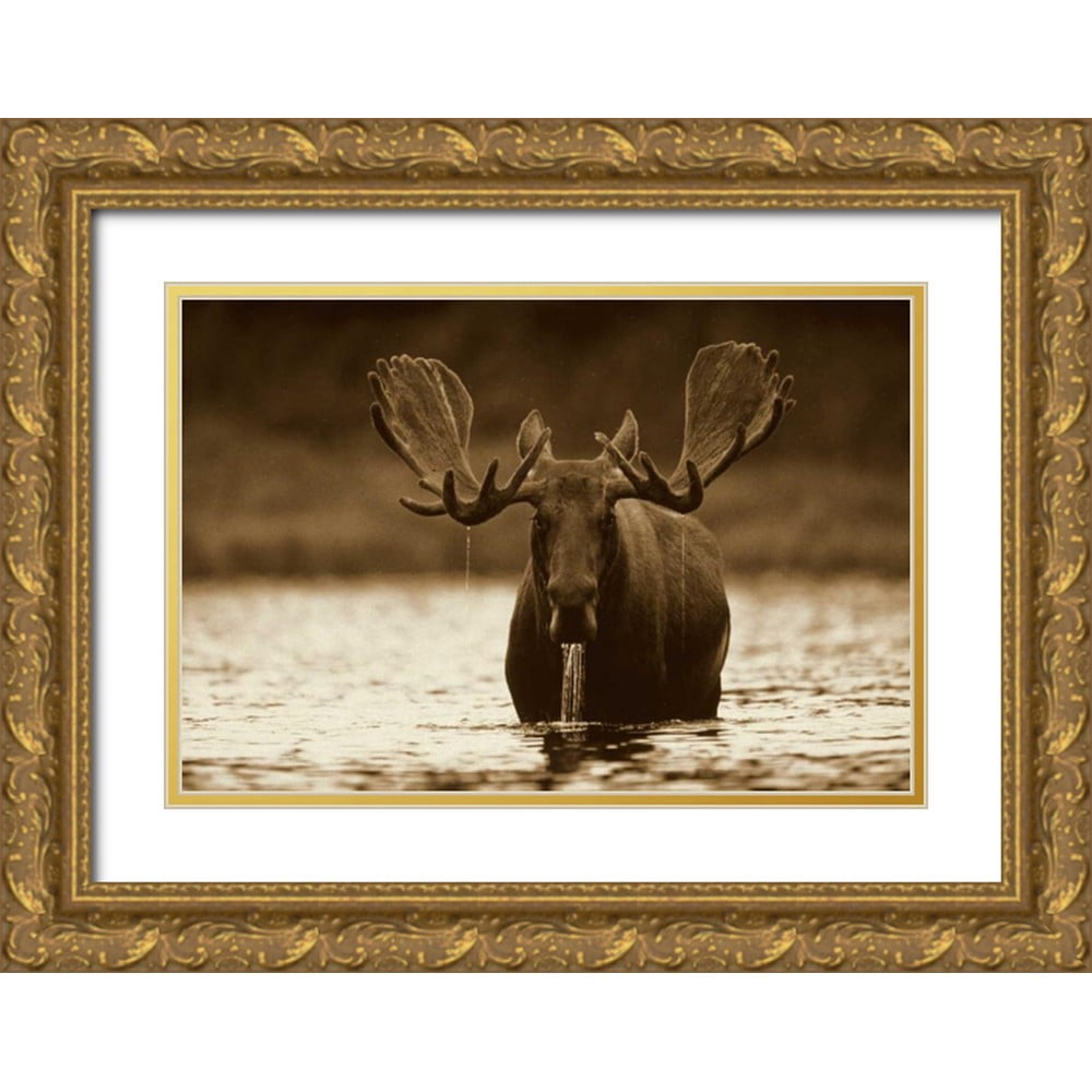 Fitzharris, Tim 32x23 Gold Ornate Wood Framed with Double Matting ...
