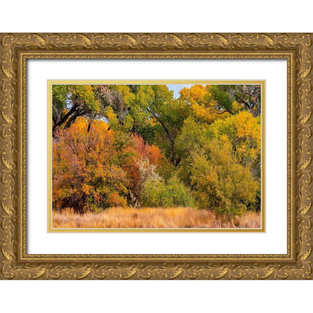 Fitzharris, Tim 32x23 Gold Ornate Wood Framed with Double Matting ...