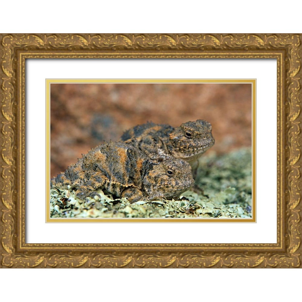 Fitzharris, Tim 32x23 Gold Ornate Wood Framed with Double Matting ...