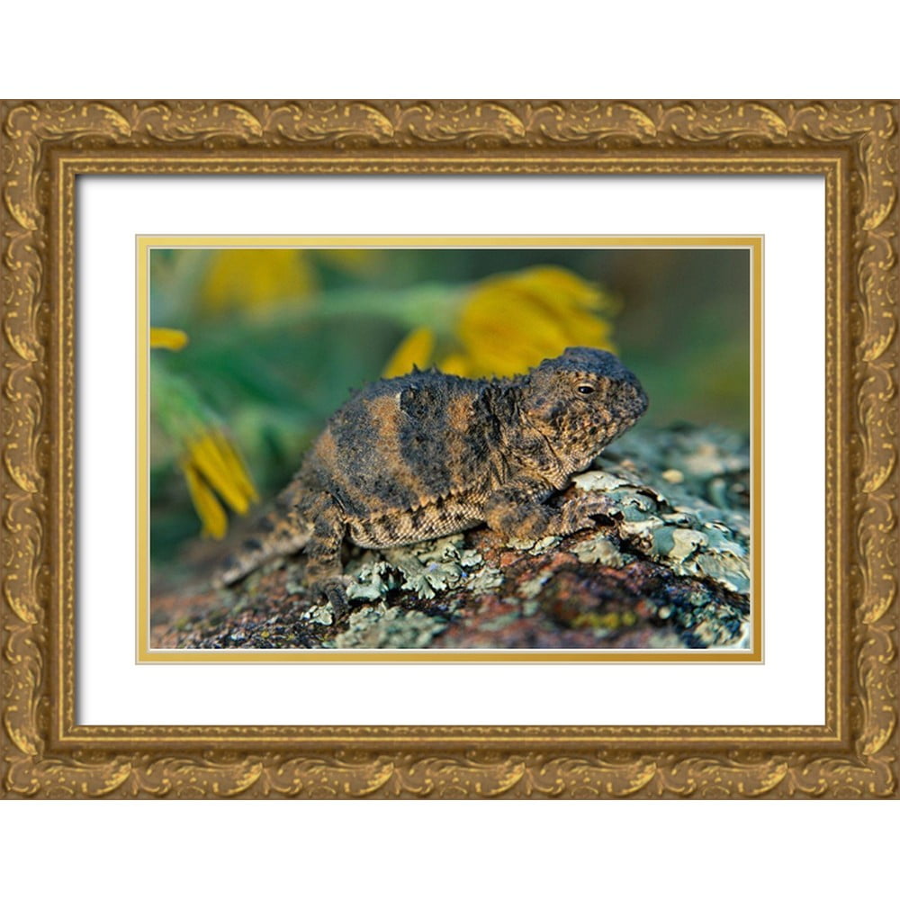 Fitzharris, Tim 32x23 Gold Ornate Wood Framed with Double Matting Museum Art Print Titled ...