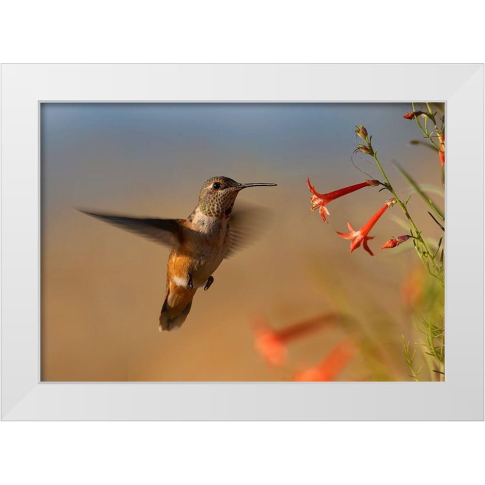 Fitzharris, Tim 32x23 White Modern Wood Framed Museum Art Print Titled ...