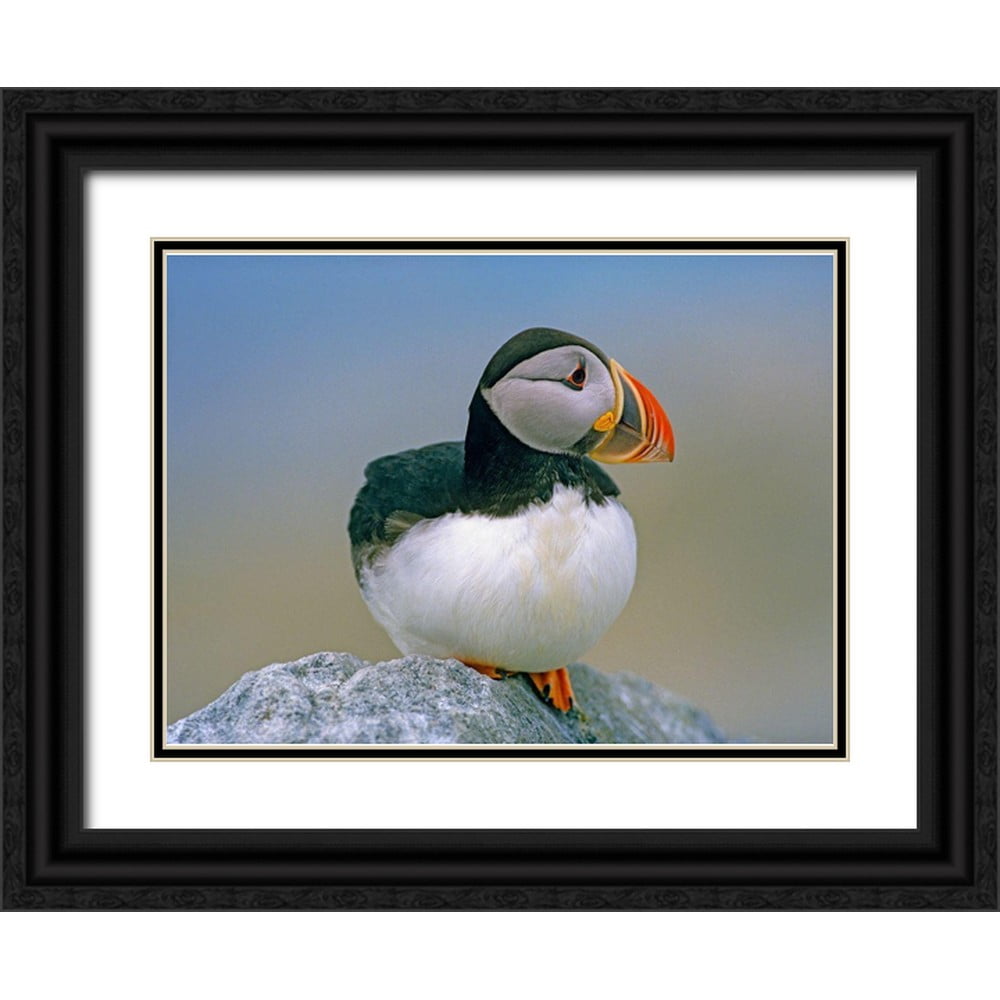 Fitzharris, Tim 32x25 Black Ornate Wood Framed with Double Matting ...