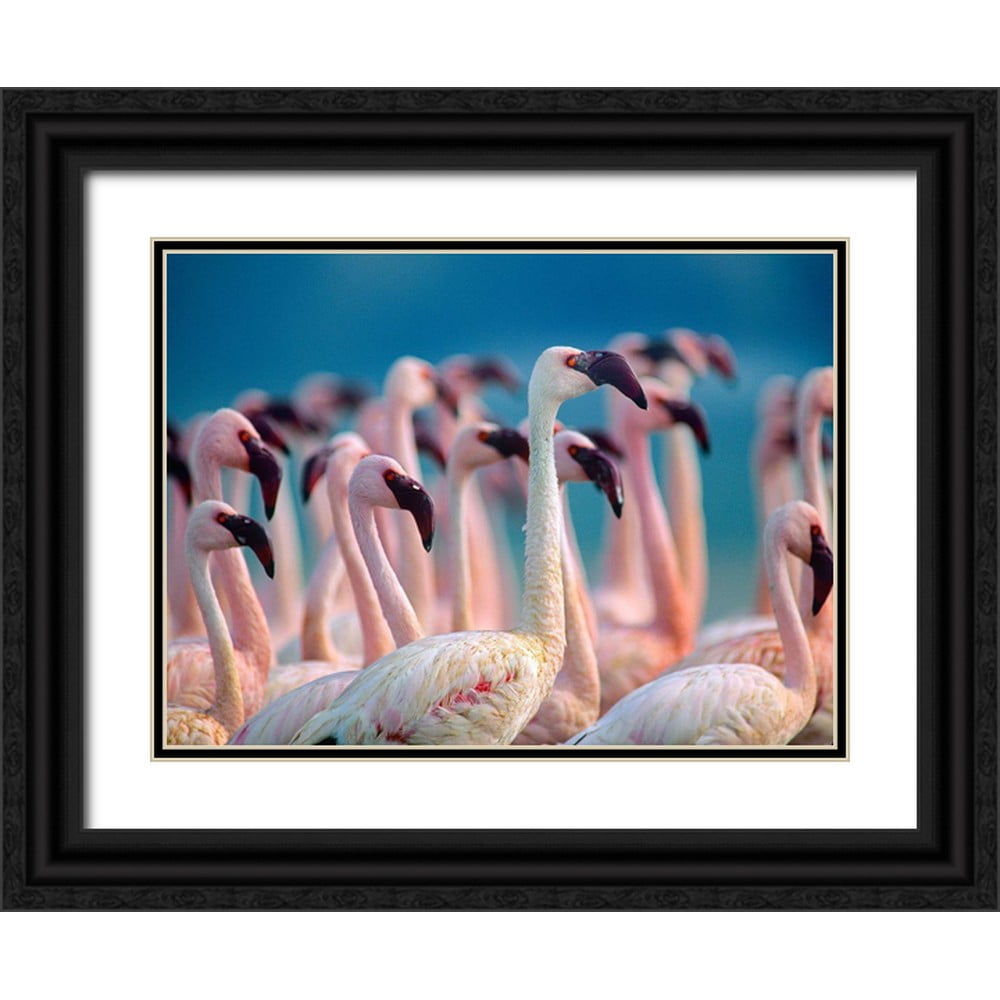 Fitzharris, Tim 32x25 Black Ornate Wood Framed with Double Matting ...