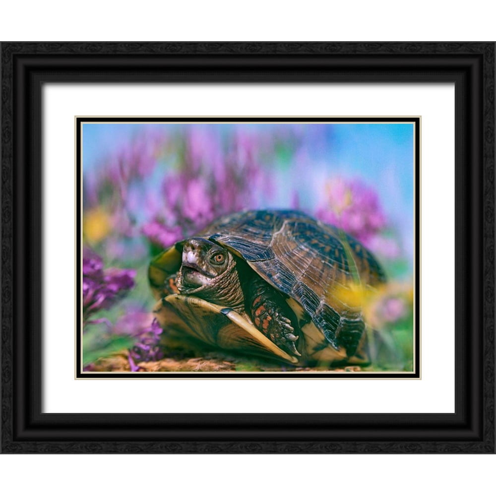 Fitzharris, Tim 32x25 Black Ornate Wood Framed with Double Matting ...