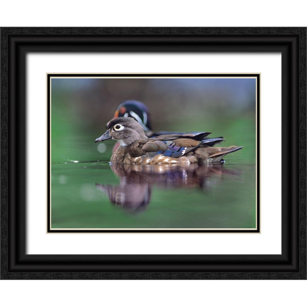 Fitzharris, Tim 32x25 Black Ornate Wood Framed with Double Matting ...