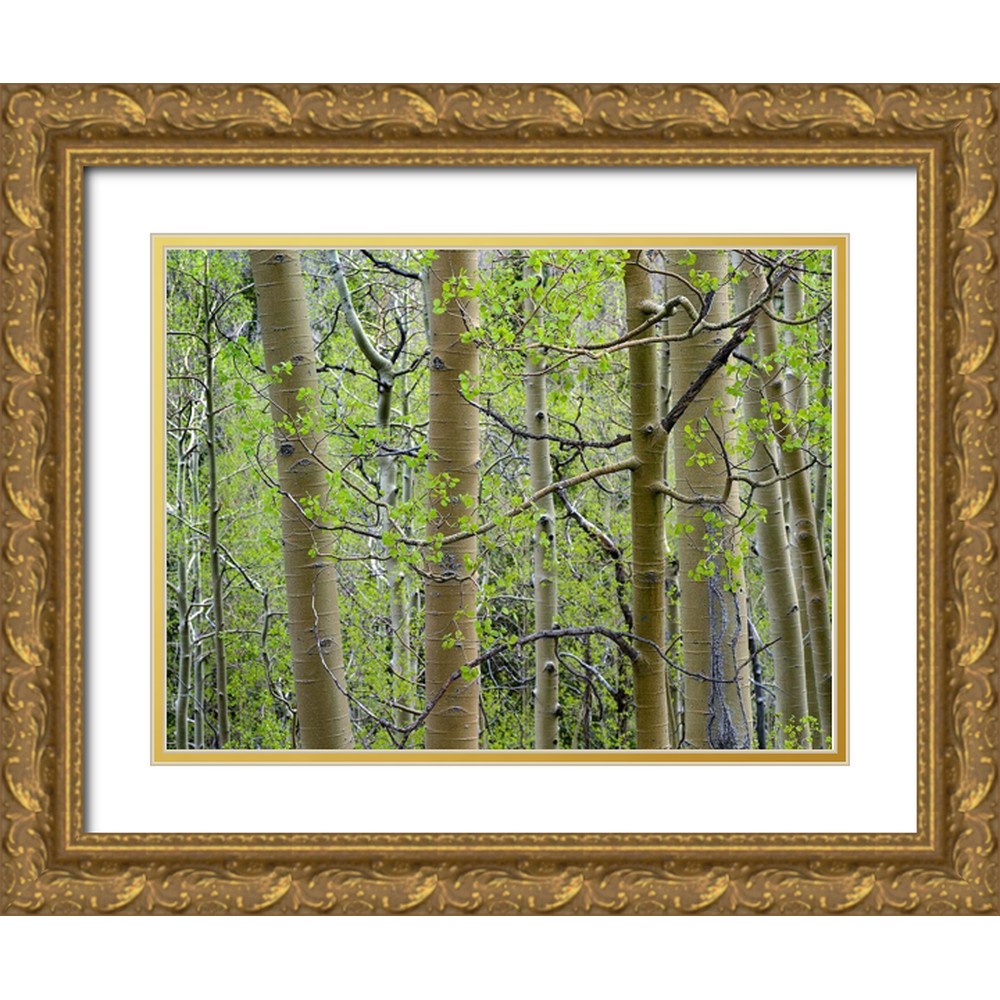 Fitzharris, Tim 32x25 Gold Ornate Wood Framed with Double Matting ...