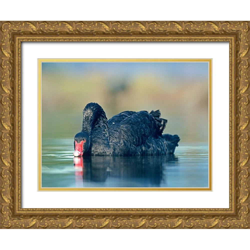 Fitzharris, Tim 32x25 Gold Ornate Wood Framed with Double Matting ...