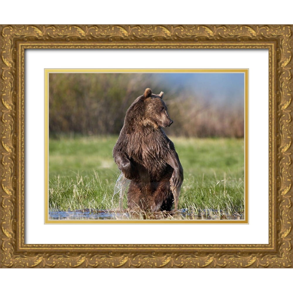 Fitzharris, Tim 32x25 Gold Ornate Wood Framed with Double Matting ...