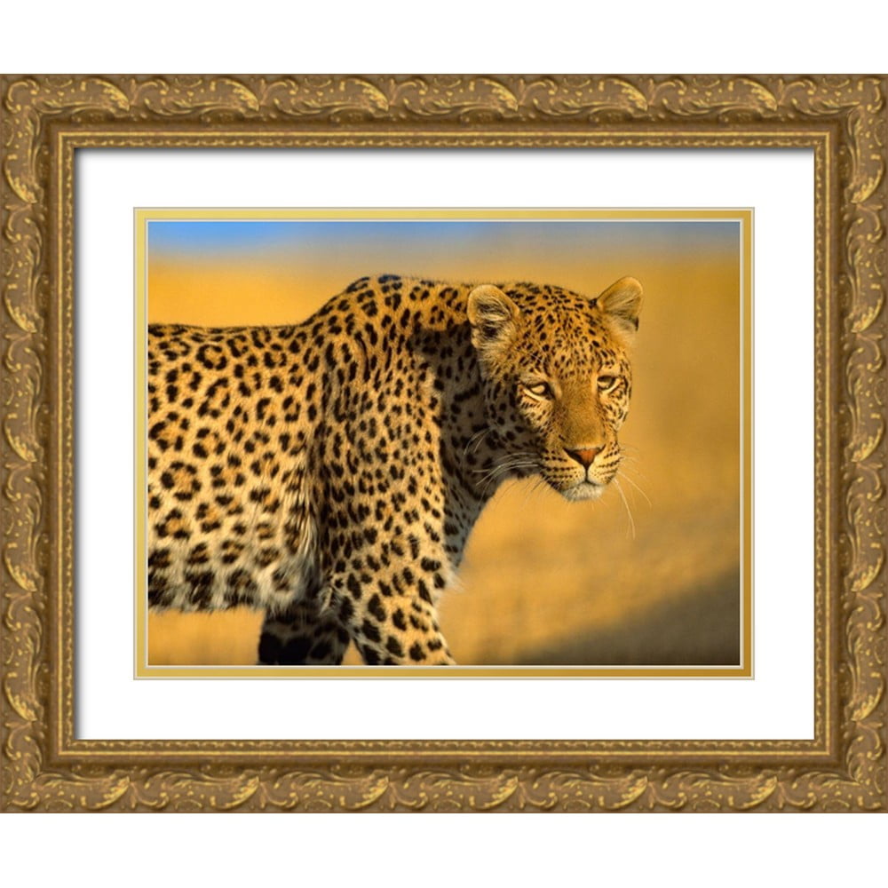 Fitzharris, Tim 32x25 Gold Ornate Wood Framed with Double Matting ...