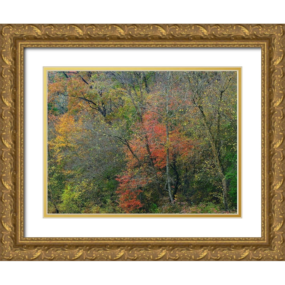 Fitzharris, Tim 32x25 Gold Ornate Wood Framed with Double Matting ...