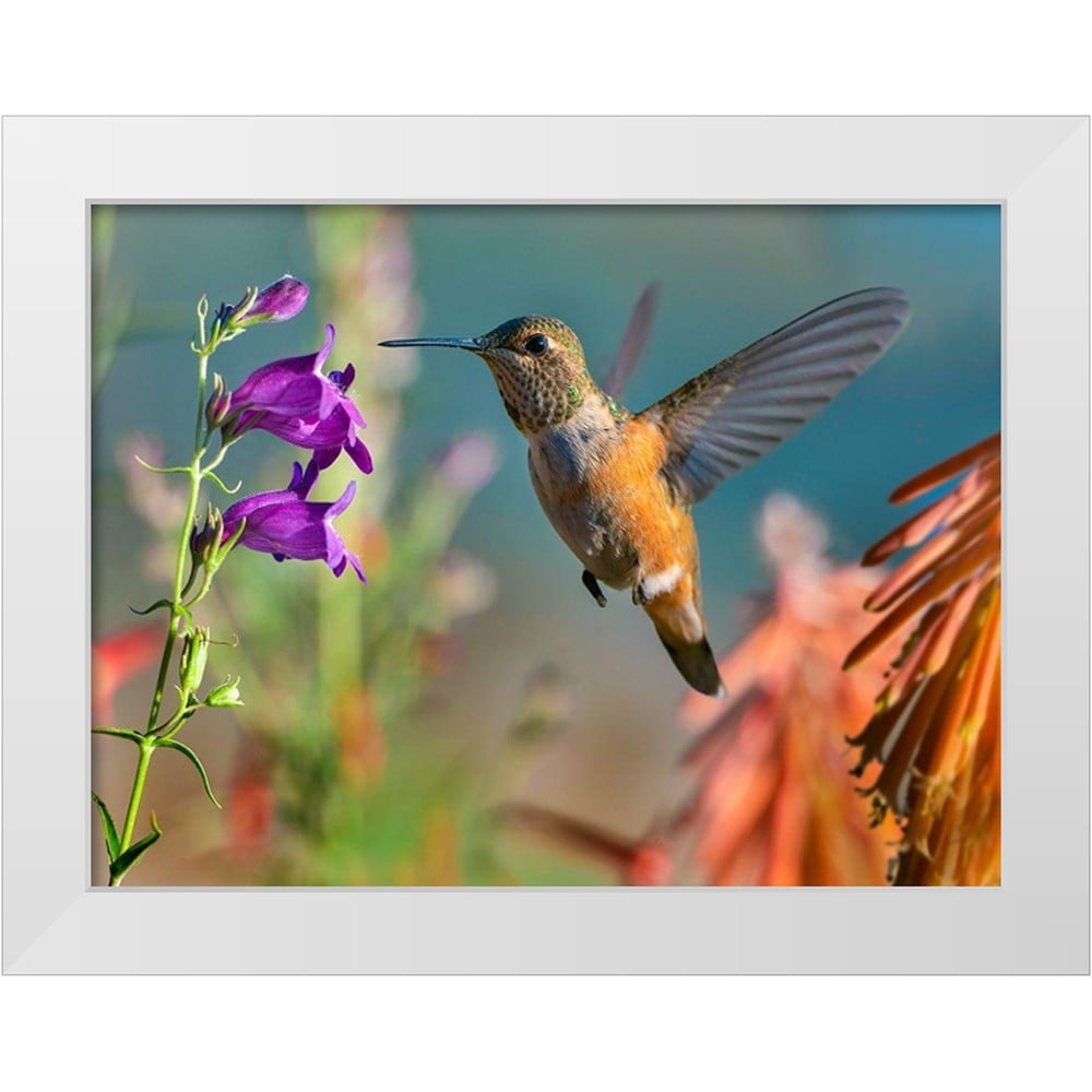 Fitzharris, Tim 32x25 White Modern Wood Framed Museum Art Print Titled ...