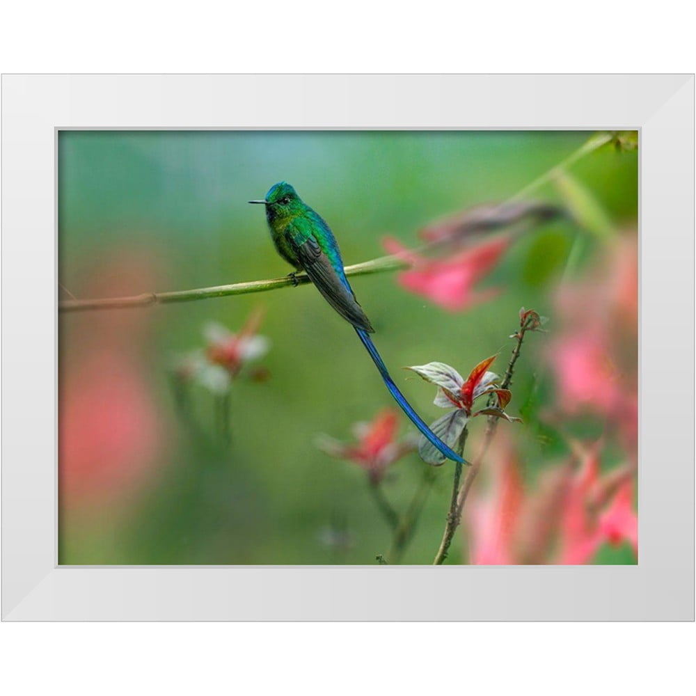 Fitzharris, Tim 32x25 White Modern Wood Framed Museum Art Print Titled ...