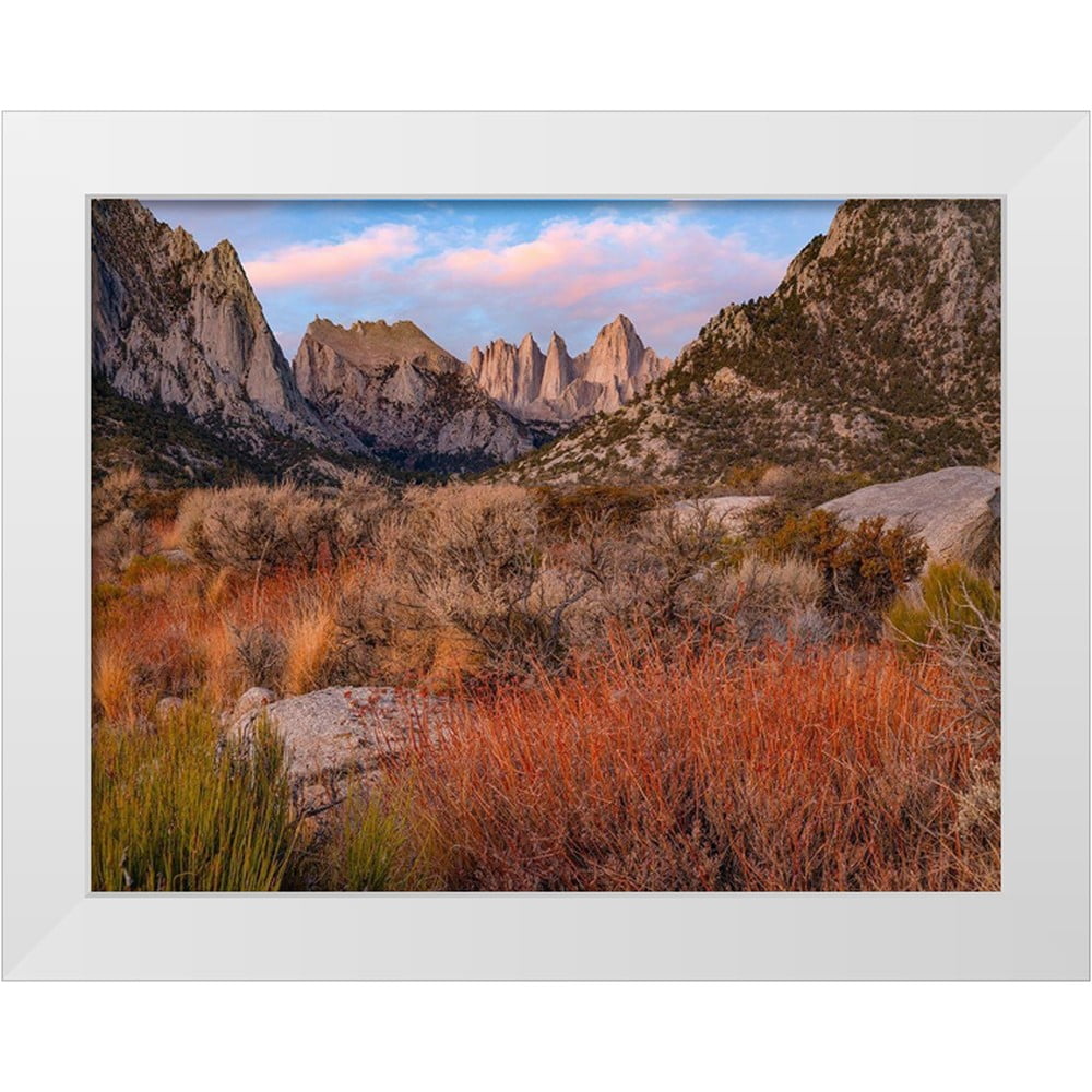 Fitzharris, Tim 32x25 White Modern Wood Framed Museum Art Print Titled ...